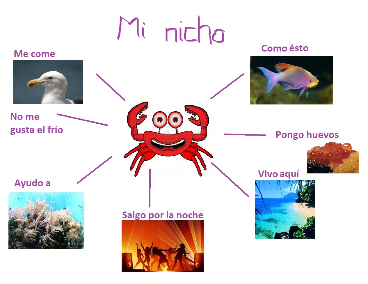 Ejemplos de nicho ecológico