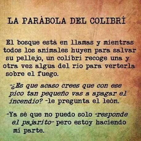 10 Ejemplos de Parábolas